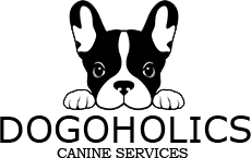 Dog Grooming Courses - Dogoholics Canine Services - Hull